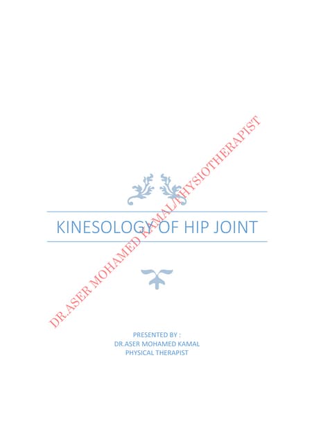 Anatomy Of The Hip Joint Ppt
