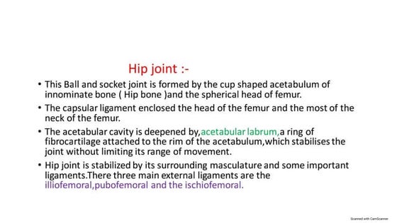 Ankle joint | PDF | Foot Health | Diseases and Conditions