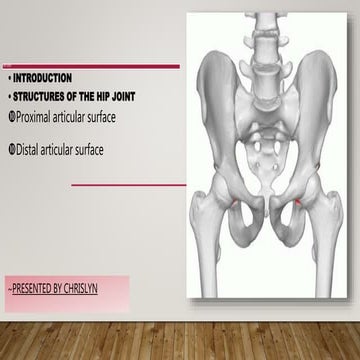 Hip joint biomechanics and pathomechanics | PDF
