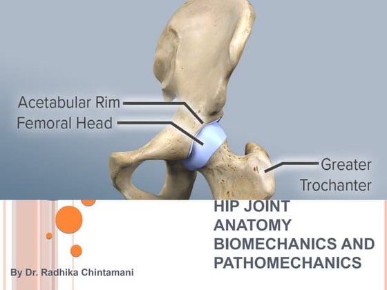 Wcpt | DOCX | Physical Therapy | Wellness