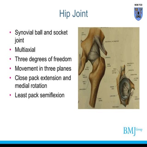 Hip_Joint_BMJ.ppt