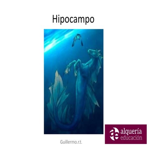 Hipocampo | PPTX