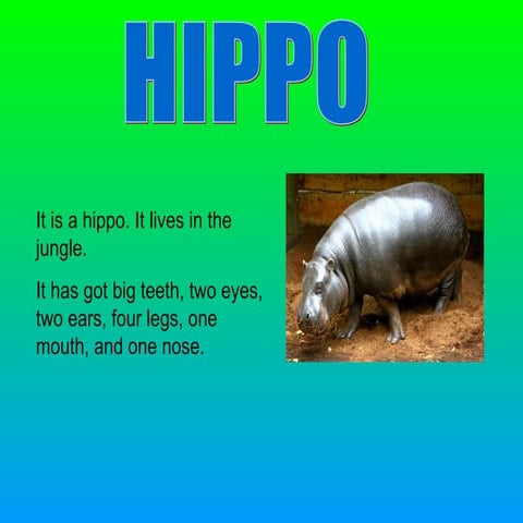 The hippo by Carmen | PPT