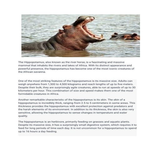 Hippopotamus.pdf