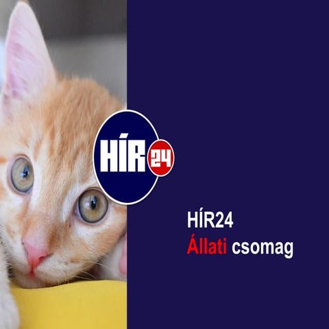 Hir24 2015 állati csomag | PDF