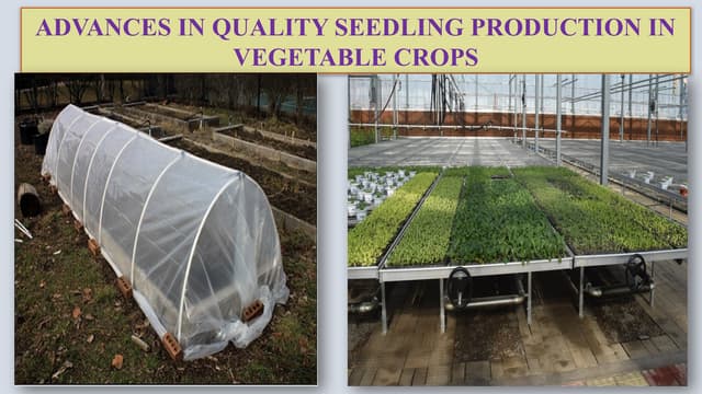 Nursery types, Structure, Components, Planning and Lay out of Nursery | PDF