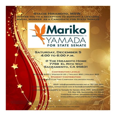 Flyer - State Senate Campaign | PDF