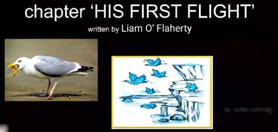 His_First_Flight_ncert_presentation.pptx