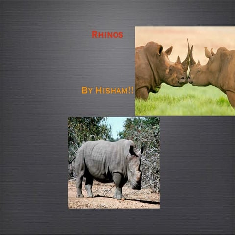 The black rhino pro | PPTX