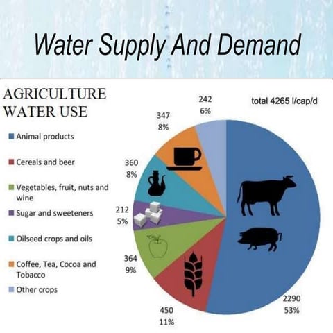 water supply and demand | PPTX
