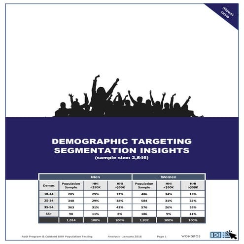 Demographic Targeting Insights | PDF