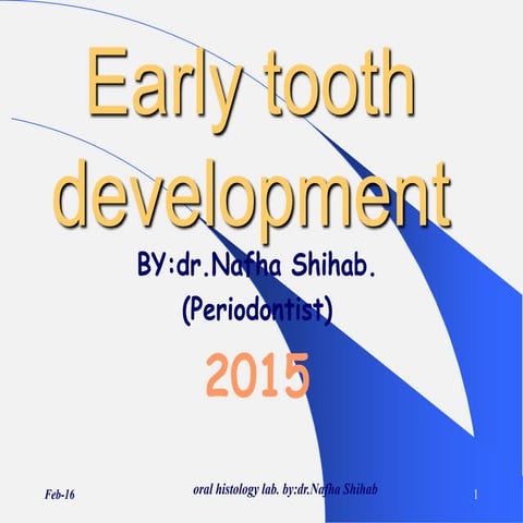 Tooth development cap stage | PPTX