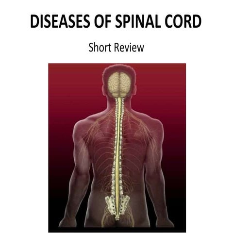 Spinal Cord Diseases | PPTX