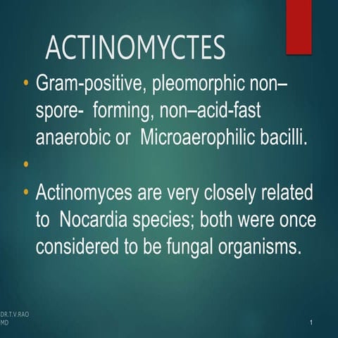 Actinomycetes | PPTX