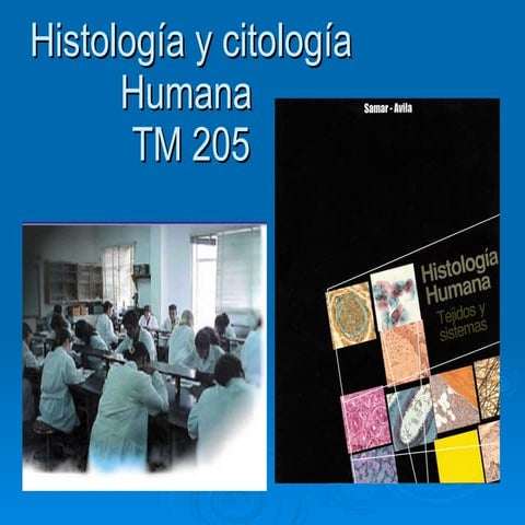 HistologíA Y CitologíA Humana (I) | PPT