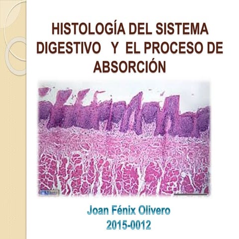 HISTOLOGÍA DEL SISTEMA DIGESTIVO Y EL PROCESO DE ABSORCIÓN | PPTX