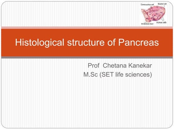 Histology & Function of The Pancreas | PPT