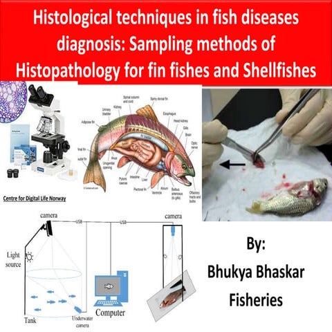 Histological techniques in fish disease diagnosis by B.pptx