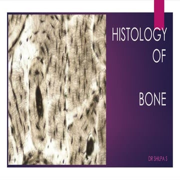 histology of bone for an optometry student ug reference | PPTX