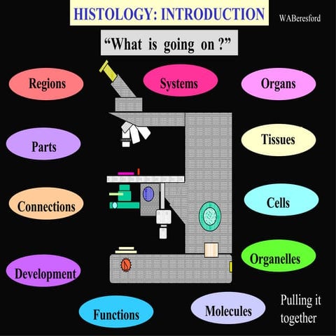 Histology Introduction | PPT