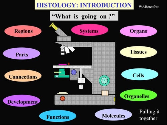 Introduction to Histology | PPT | Biological Sciences | Science