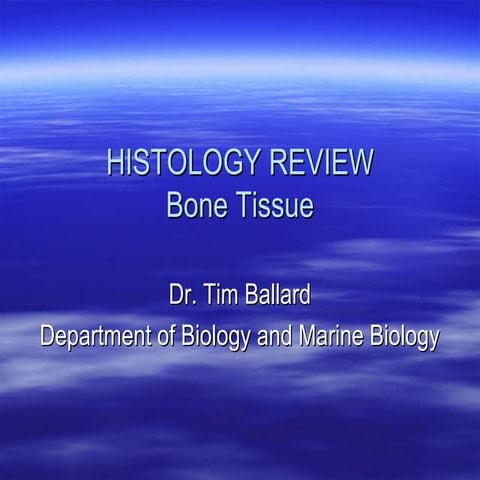 Histology: Bone | PPT