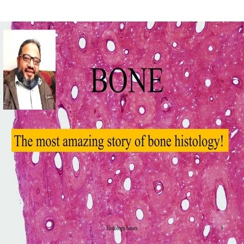 histology bones2.pdf