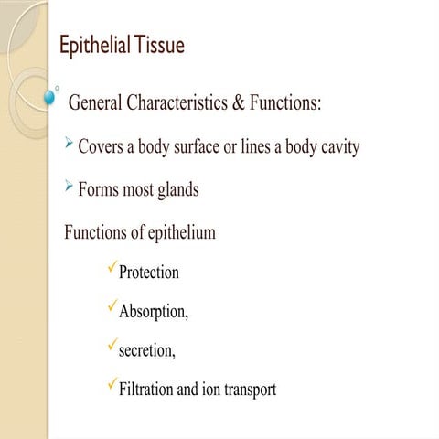 Epithelial tissue | PPT