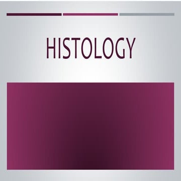 Histology practicals MBBS - slides to identify | PDF