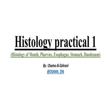 Histology of pharynx & larynx | PPTX
