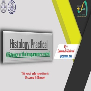 Histology (histology of the integumentary system) | PDF