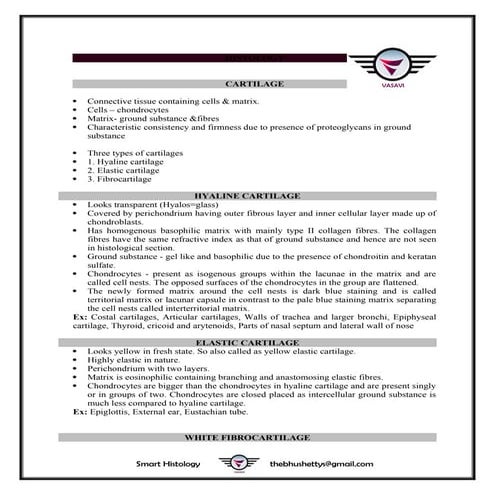 HISTOLOGY IDENTIFICATION POINTS FOR SLIDES.doc