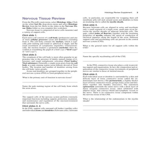 Nervous tissue (Histology) | PPTX