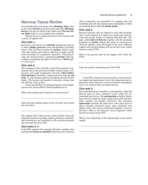 Nervous tissue (Histology) | PPTX