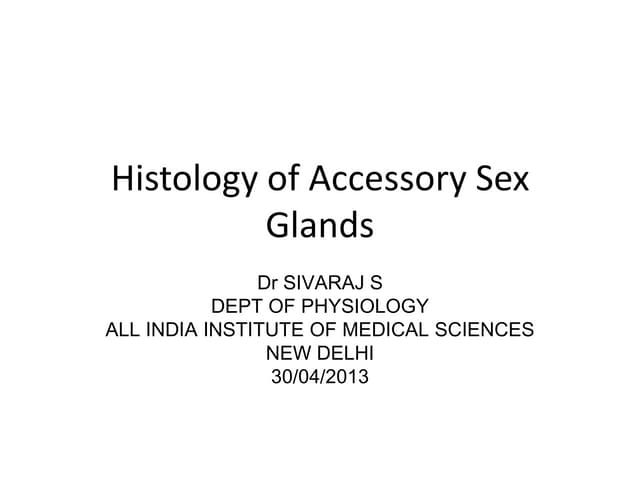Prostate Gland Pptx Human Anatomy Human Anatomy Pptx
