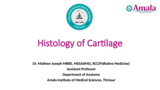 Spaces of Hand and Forearm | PPTX