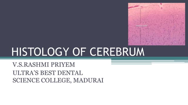 Histology of Cerebellum | PPTX