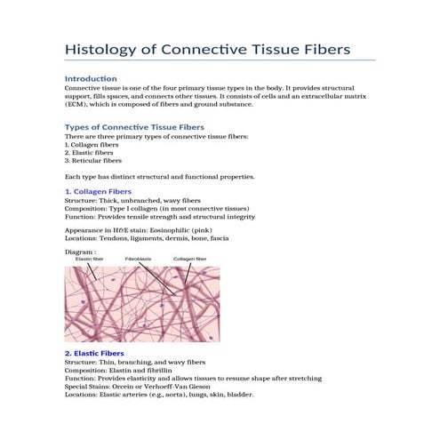 Histology_of_Connective_Tissue_Fibers_By_Hemanth .docx