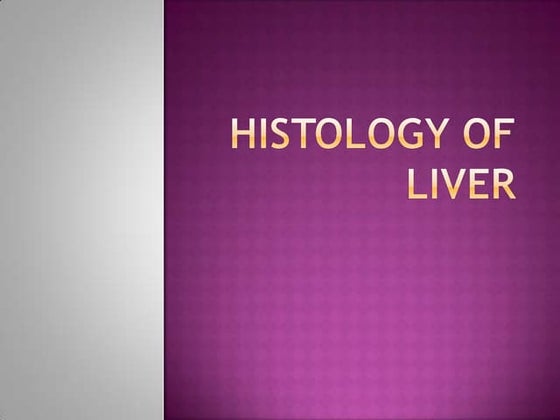 Liver anatomy and histology | PPT