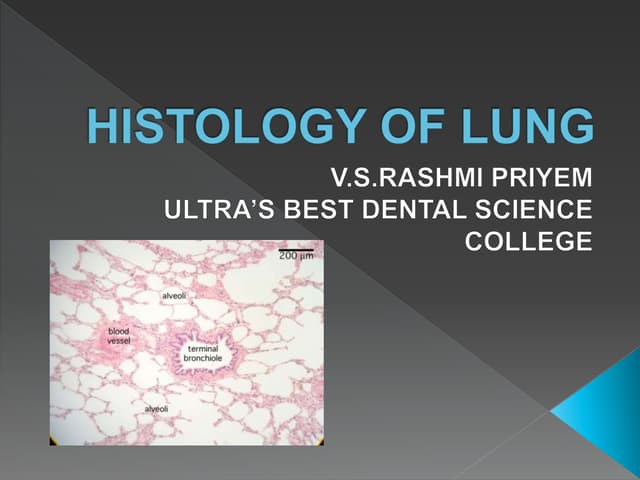 Histological structure of pancreas | PPTX