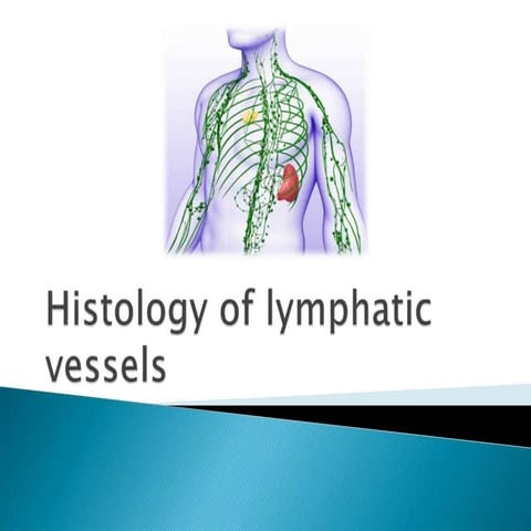 Histology of lymphatic vessels | PPTX