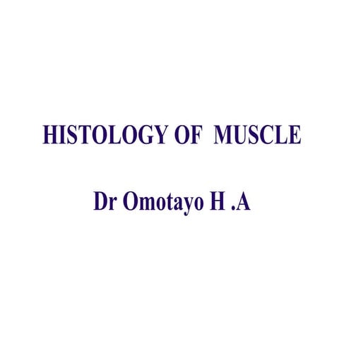 histology of muscles of the upper and lower limb | PPT