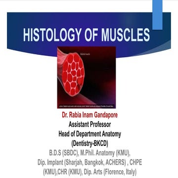 Histology of Muscles by Dr. Rabia I. Gandapore.pptx