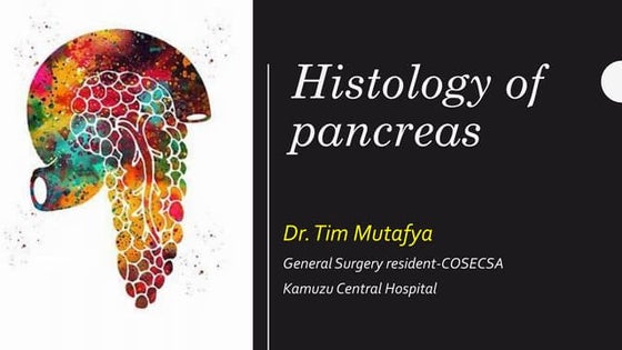 Histology & Function of The Pancreas | PPT