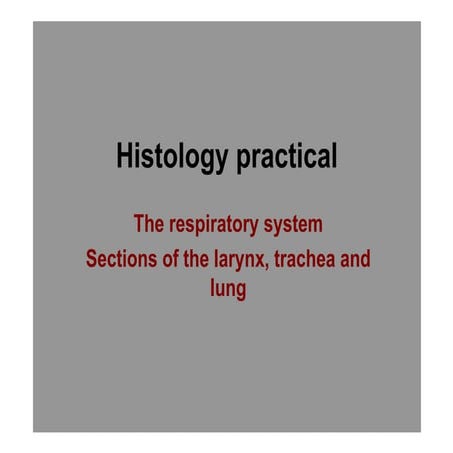 Histology of respiratory system | PPS