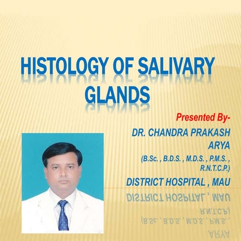 Histology of Salivary Glands BY DR. C. P. ARYA (B.Sc. B.D.S.; M.D.S.; P ...