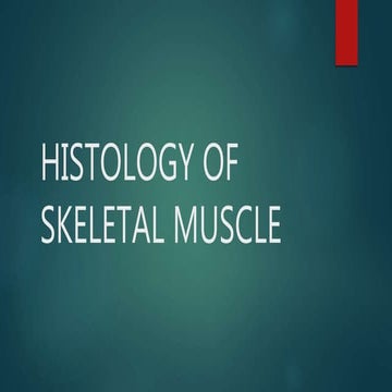 Histology of skeletal muscle | PPTX