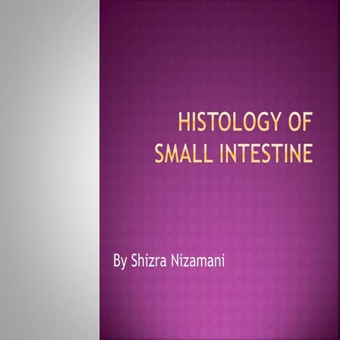 Histology of git | PPTX