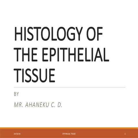 stratified EPITHELIUM HISTOLOGY lecture (1).pptx