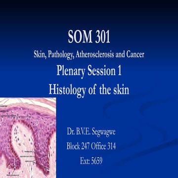 Histology of the Skin powerpoint notes.pptx